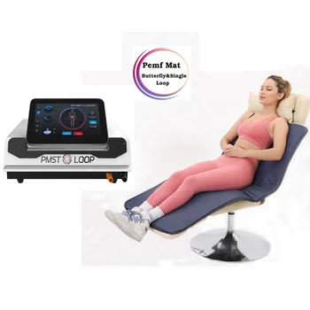Pulsed Electromagnetic Fields Pemf Pain Treatment Recovery Physical ...