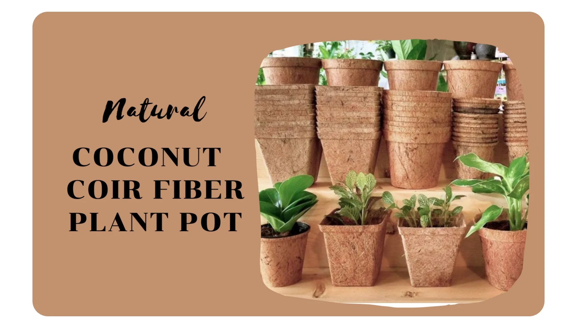 High Quality Natural Organic Coconut Coir Fiber Pot/ Coconut Fiber ...