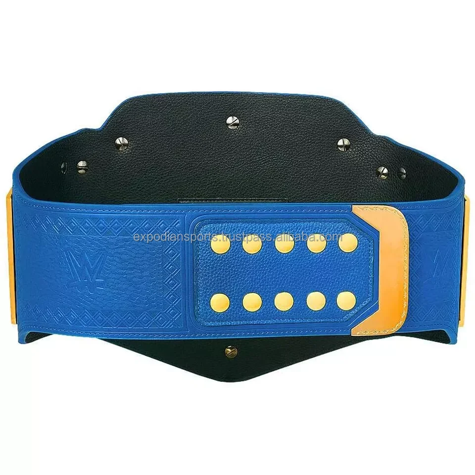 Top Quality Authentic Wear Universal Championship Blue Commemorative ...