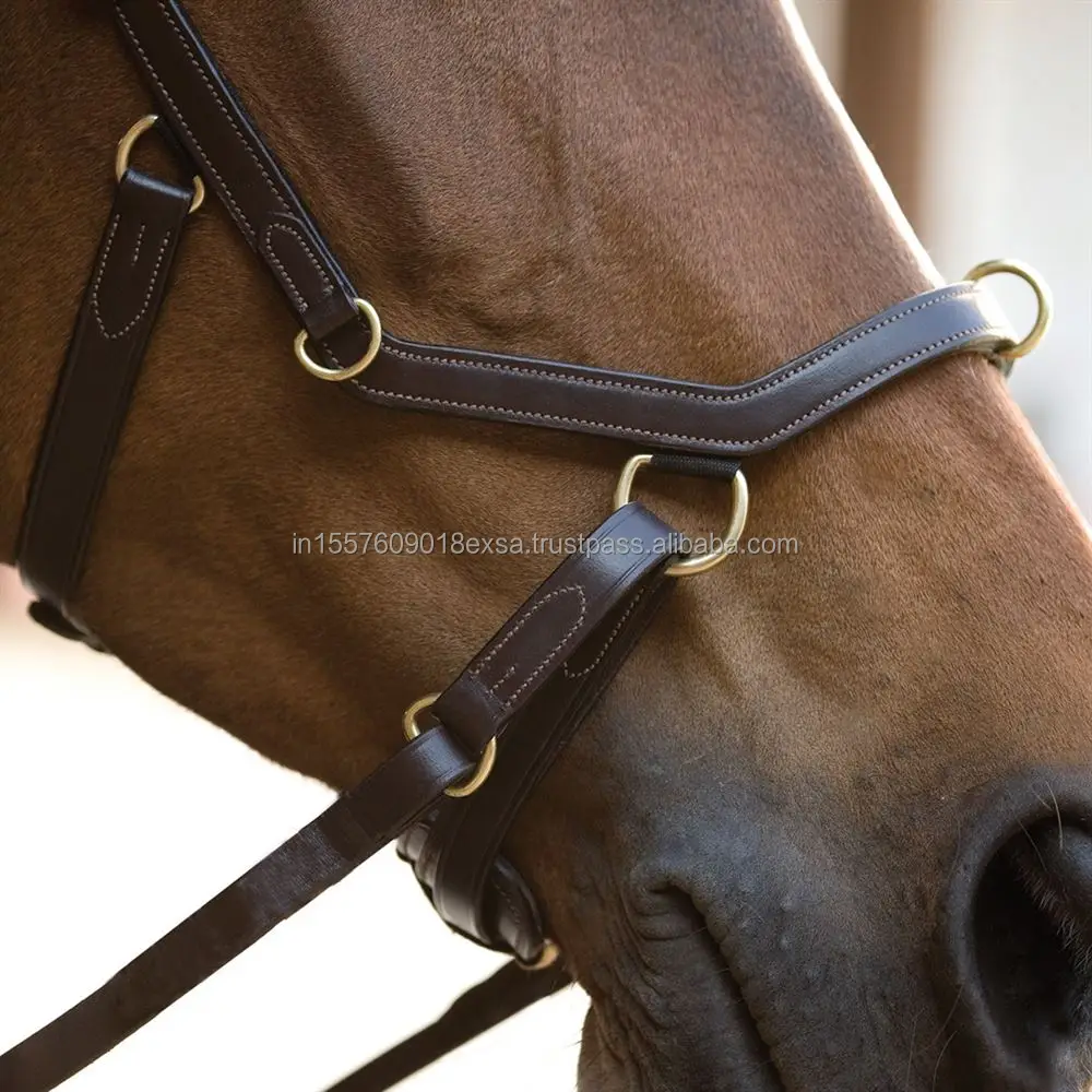 Anatomical Horse Riding Bridle With Anatomic Shape And Soft Padded ...