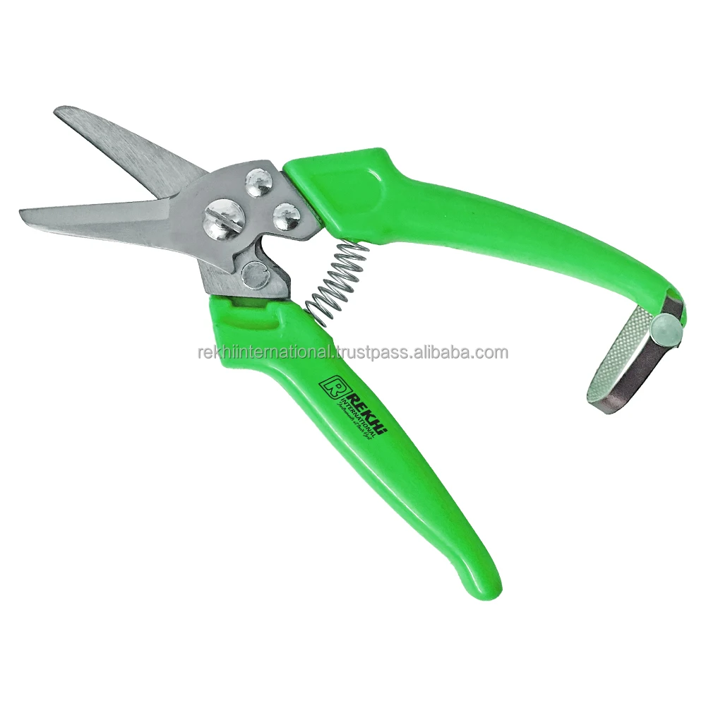 Rekhi Footrot Shears - Precision Tools for Livestock Hoof Care