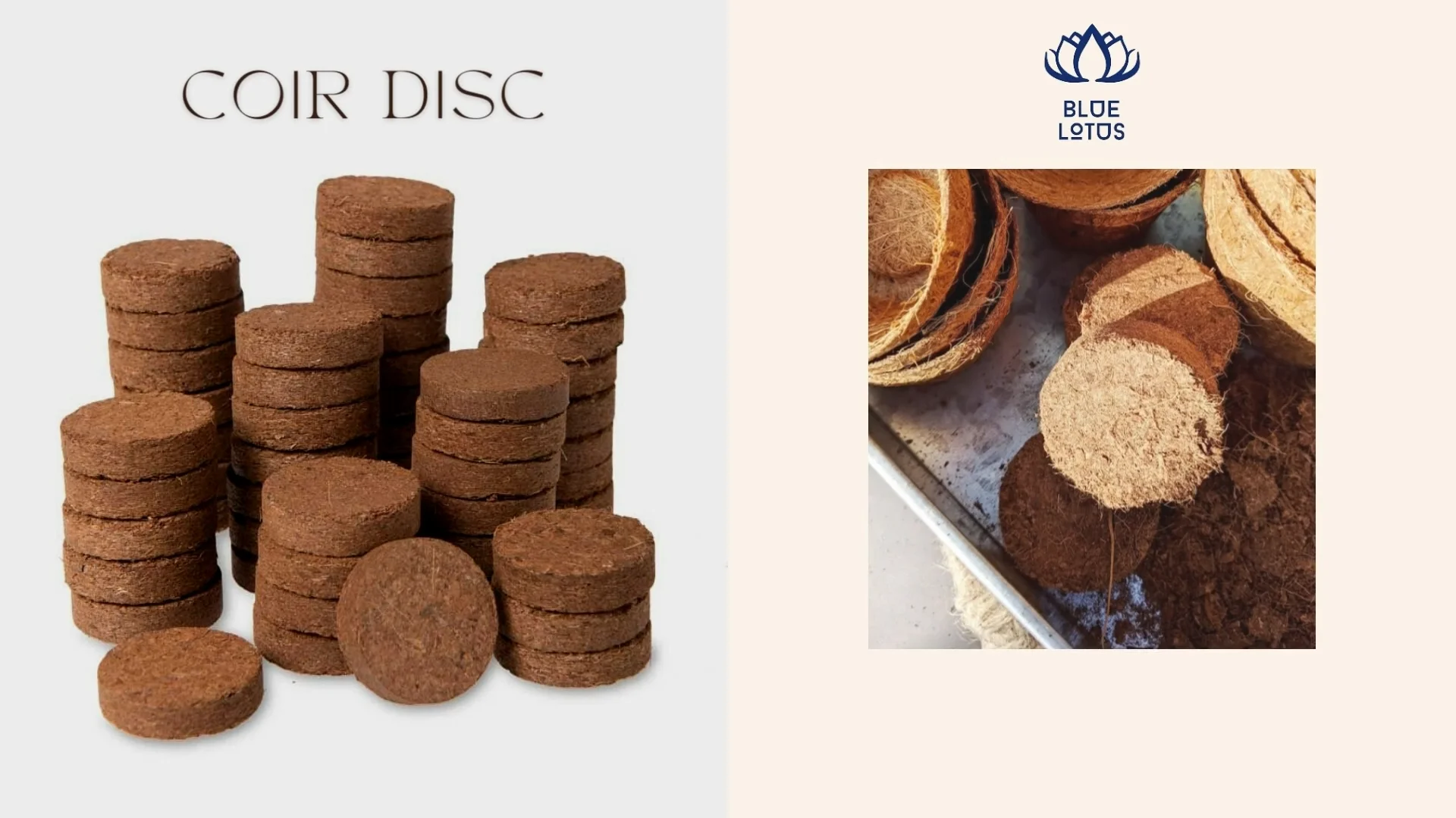 Coir Disc From Blue Lotus Farm In Vietnam Is The Greatest Wholesale ...