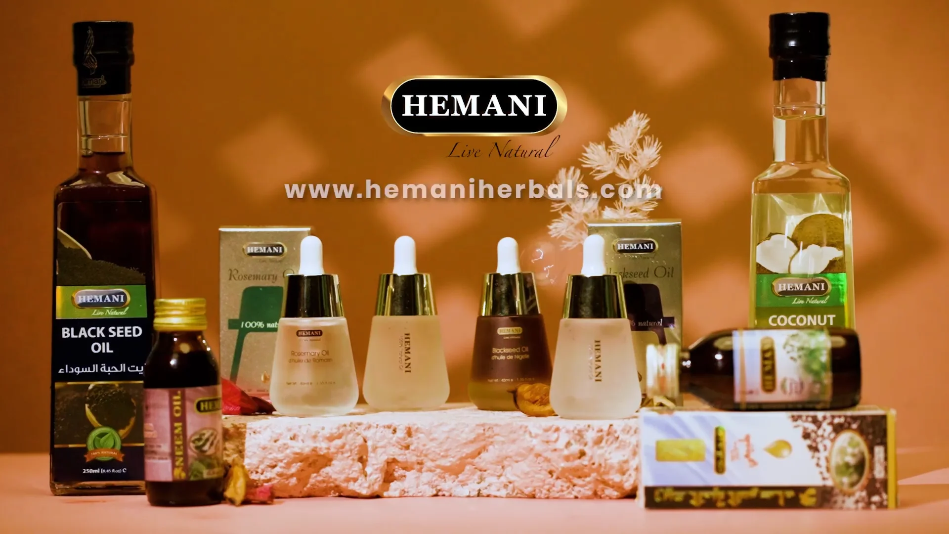 Highly Concentrated 100% Pure Natural Hemani Argan Essential Oil - 10ml ...