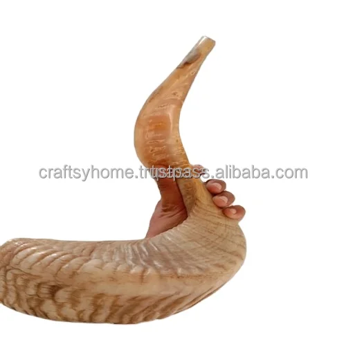 High Quality Goat Horn Food and Chew and Hand Made Product Material ...
