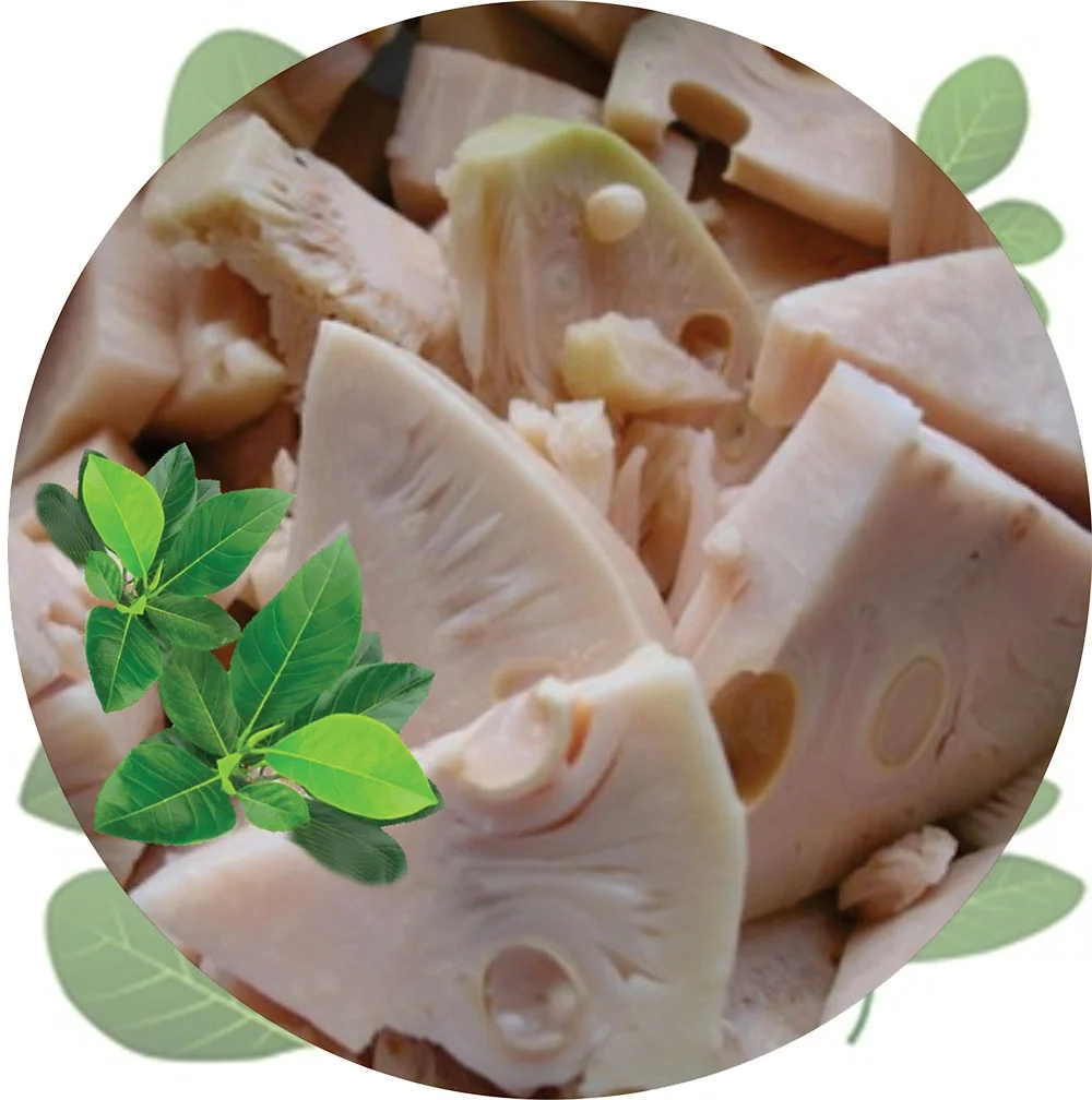 Ad Fresh Whole Raw Green Jackfruit Vietnam High Quality Products ...