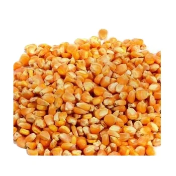 Brazil Corn For Chicken Feed - Buy Corn Straw Feeding Yellow Corn Maize ...