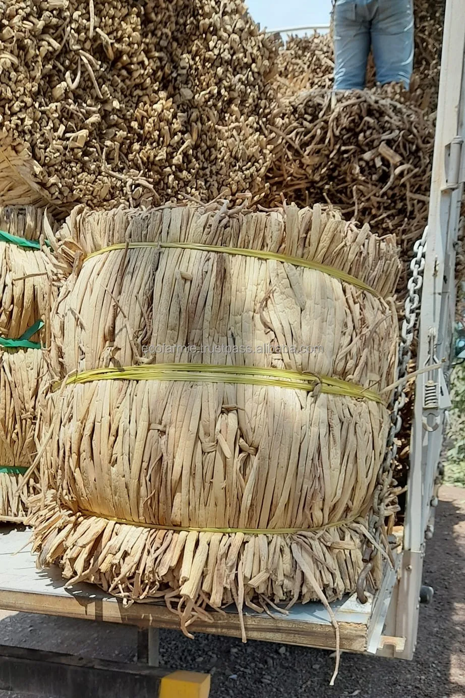 Dried Water Hyacinth For Craft Making From Vietnam Dry Water Hyacinth ...