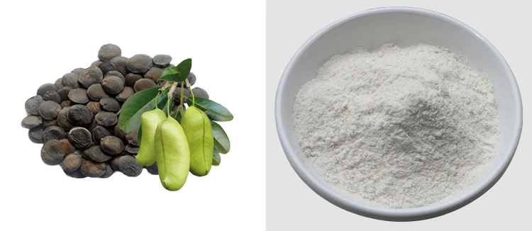 Manufacturer Top Grade Griffonia Ghana Seed Extract 99% 5-htp Powder ...