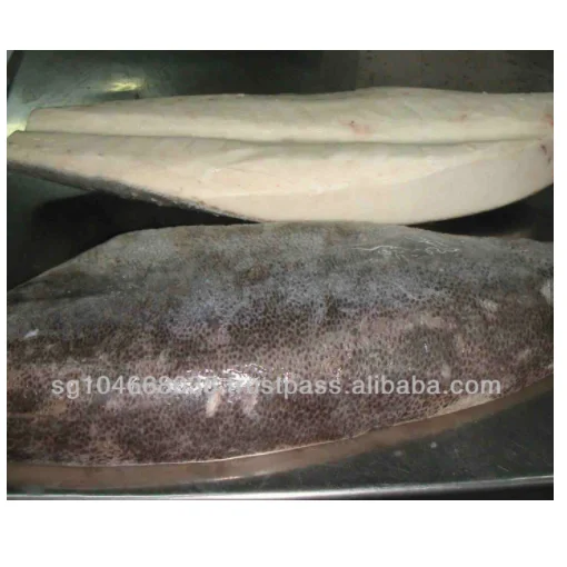 Frozen Fish Fresh Tilapia Supplier Block Bulk Style Packaging Package ...