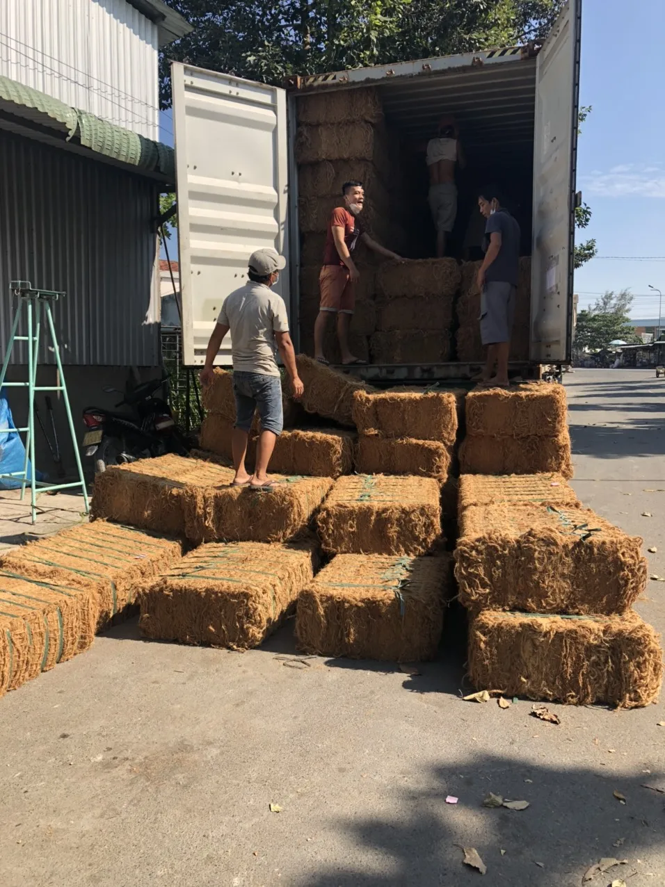 Direct From Factory Coconut Coir Net From Vietnam Coco Fiber Coir Net ...