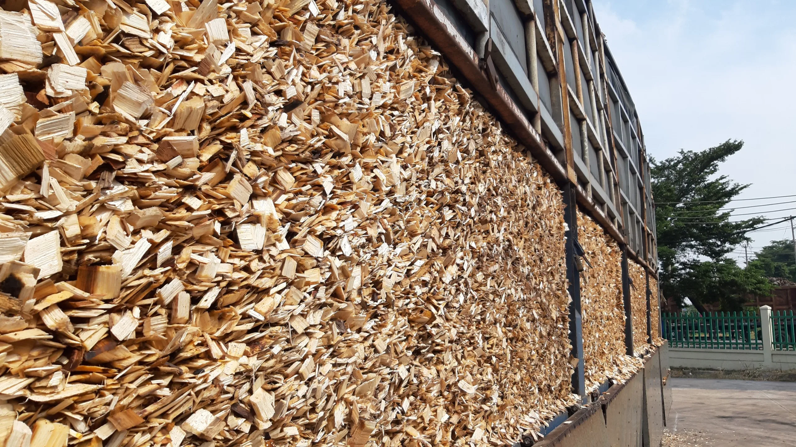 Acacia/pine Wood Chip Ready Export With Good Price From Viet Nam - Buy ...