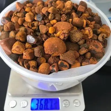 100 % Whole Ox Cattle Gallstone / Cow Gallstone / Natural Bezoar ...