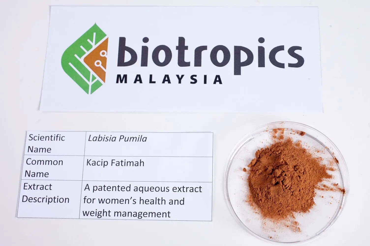 Standardized SLP+ Malaysian Kacip Fatimah Leaf Extract Powder