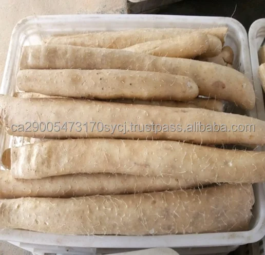 Fresh Natural White Yams For Sale - Buy Yam Preservation,Fresh Yams For ...