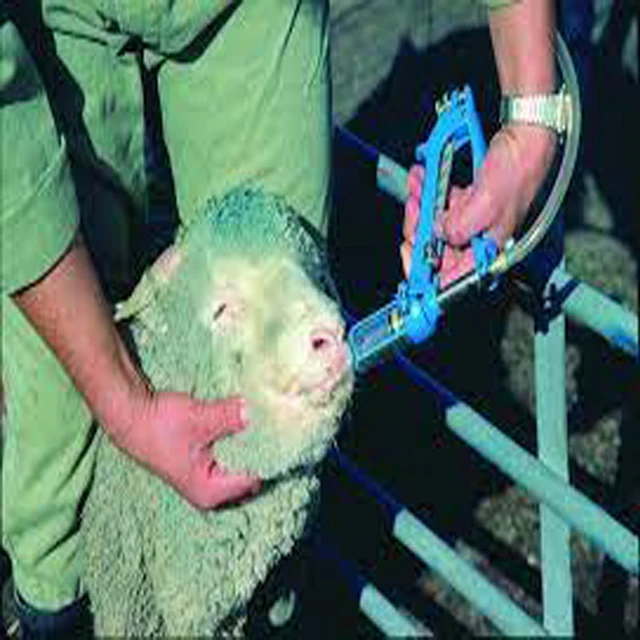 Best Quality Animal Automatic Vaccinator Drencher Plastic Body ...
