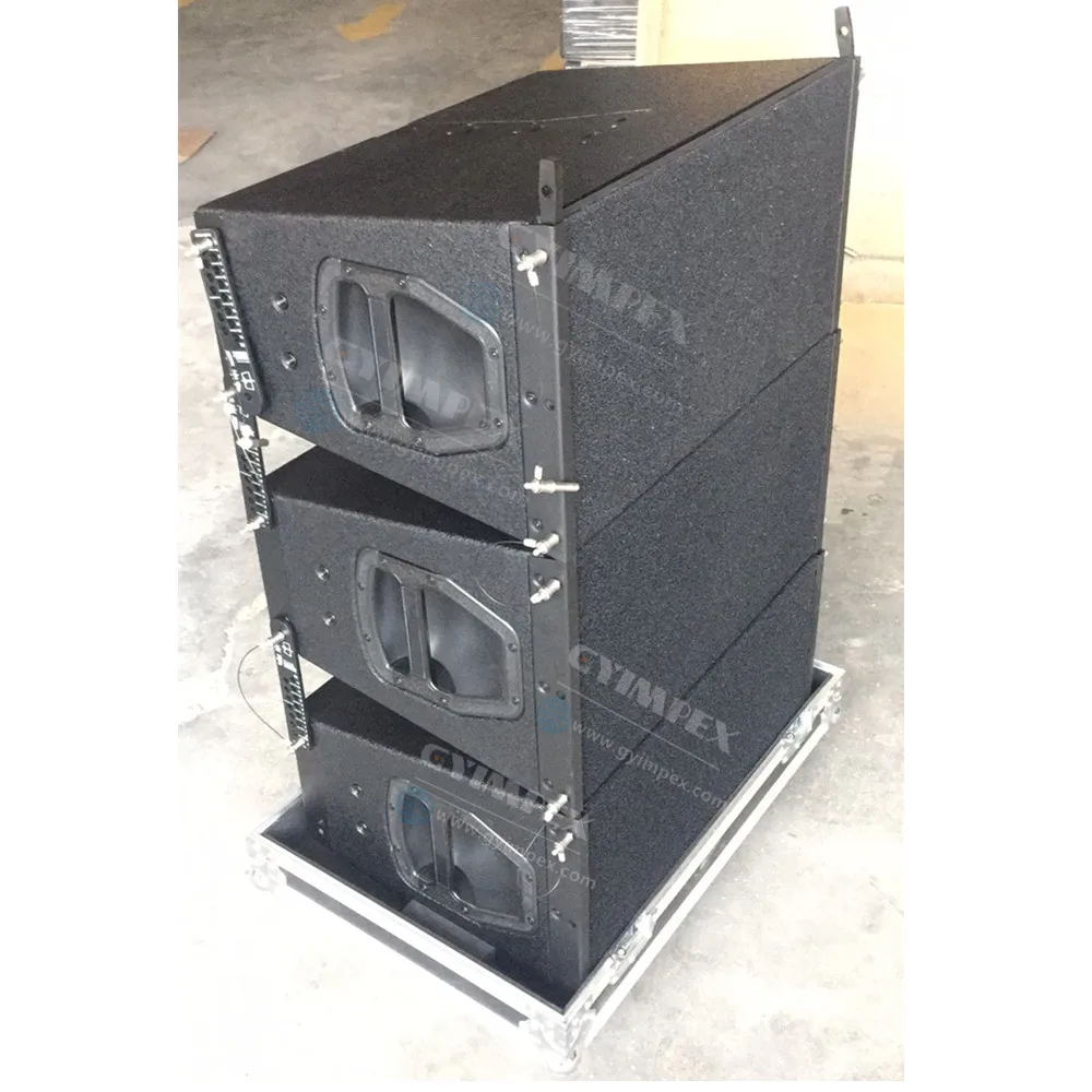 Empty Cabinet Speaker Box Line Array Dual 10 Small Size Big Power Professional Audio Sound 