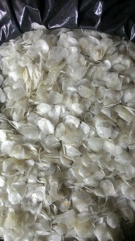 DRIED FISH TILAPIA SCALES for Gelatin Production in Viet Nam