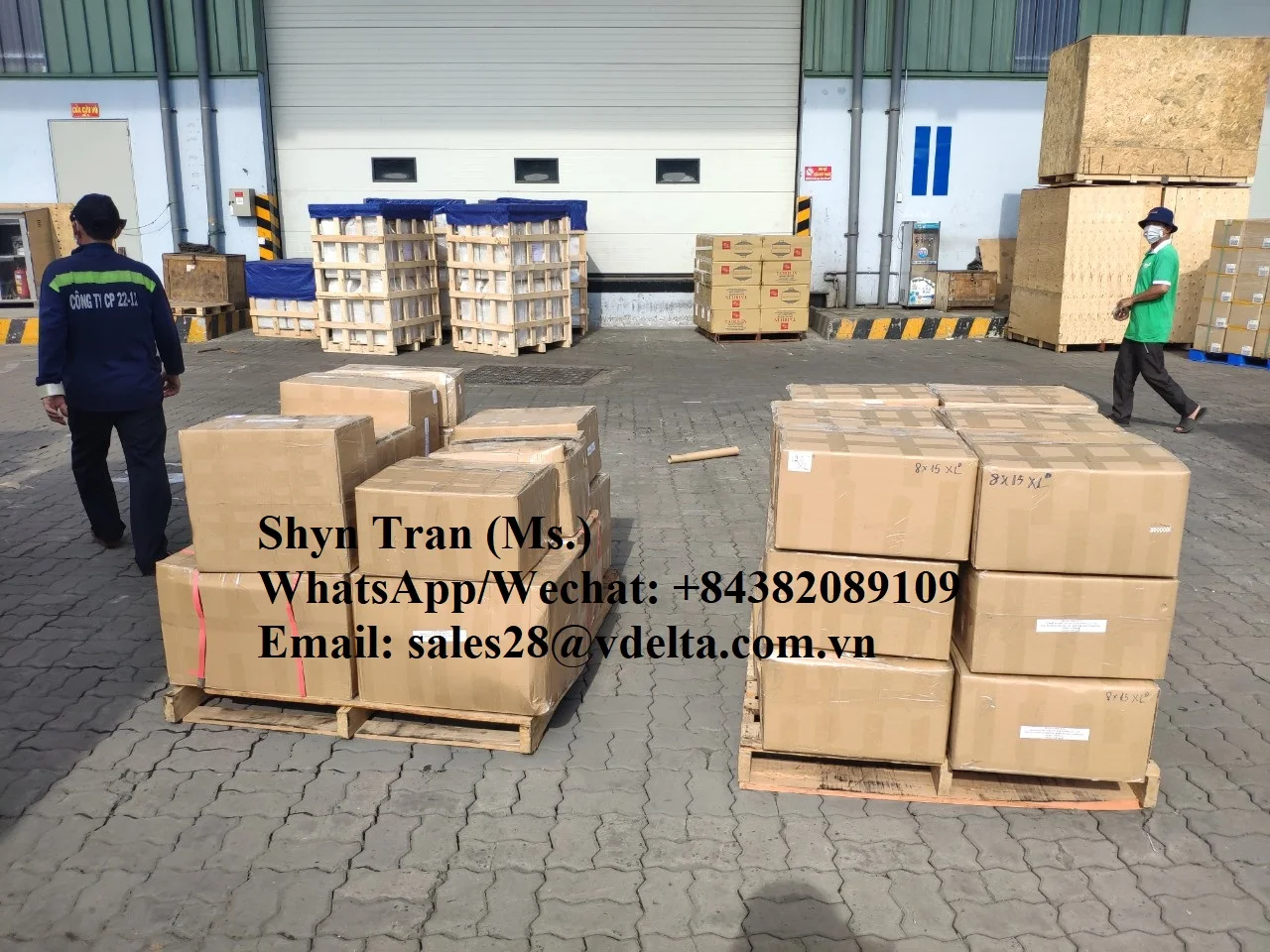 Natural Coconut Chew Rope for Dogs - Durable & Healthy