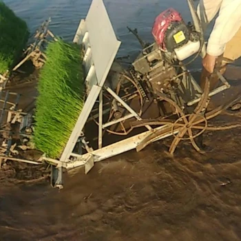 Rice Transplanter Mini Walk-behind Manual 6 Rows - Buy Transplanter ...