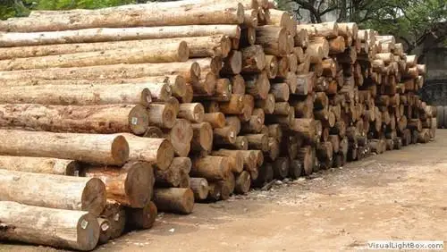 Wholesale Natural Pine Sawn Timber/ Lumber Air Dry/ Kiln Dry From ...