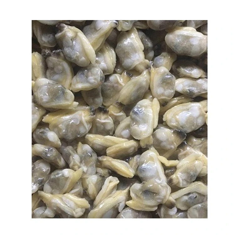 South African Supplier Factory Direct Sale Frozen Clams Without Shell ...