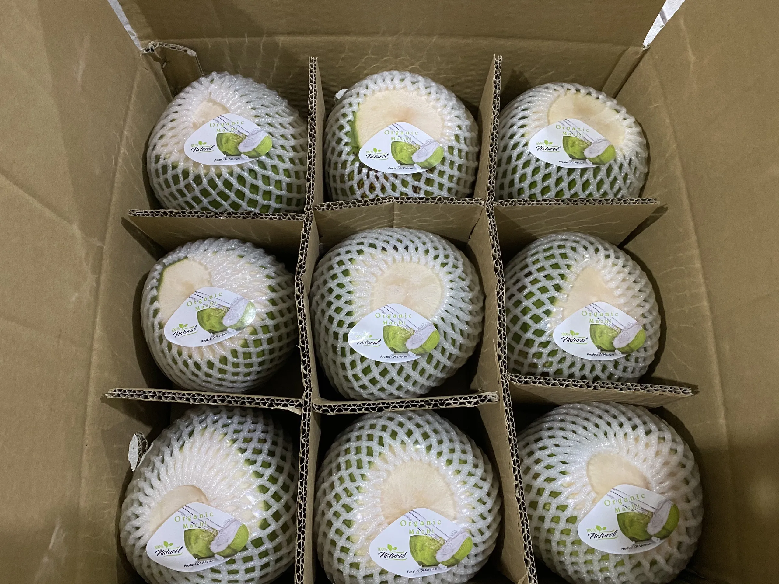 Fresh Siamese Young Coconut Green Coconut Sweet Taste For Sale Cheap ...