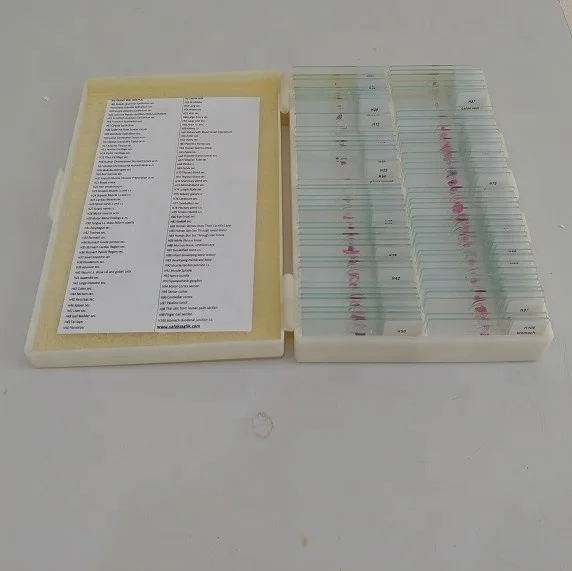 50 Pcs Mixed Educational Prepared Microscope Slides Botany Human Animal ...