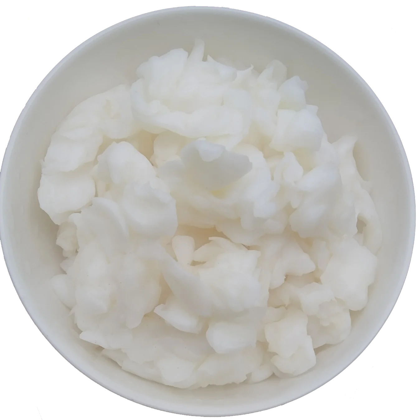 Dried Nata De Coco 1f10 / Raw Nata De Coco Vietnam - Buy Nata De Coco ...