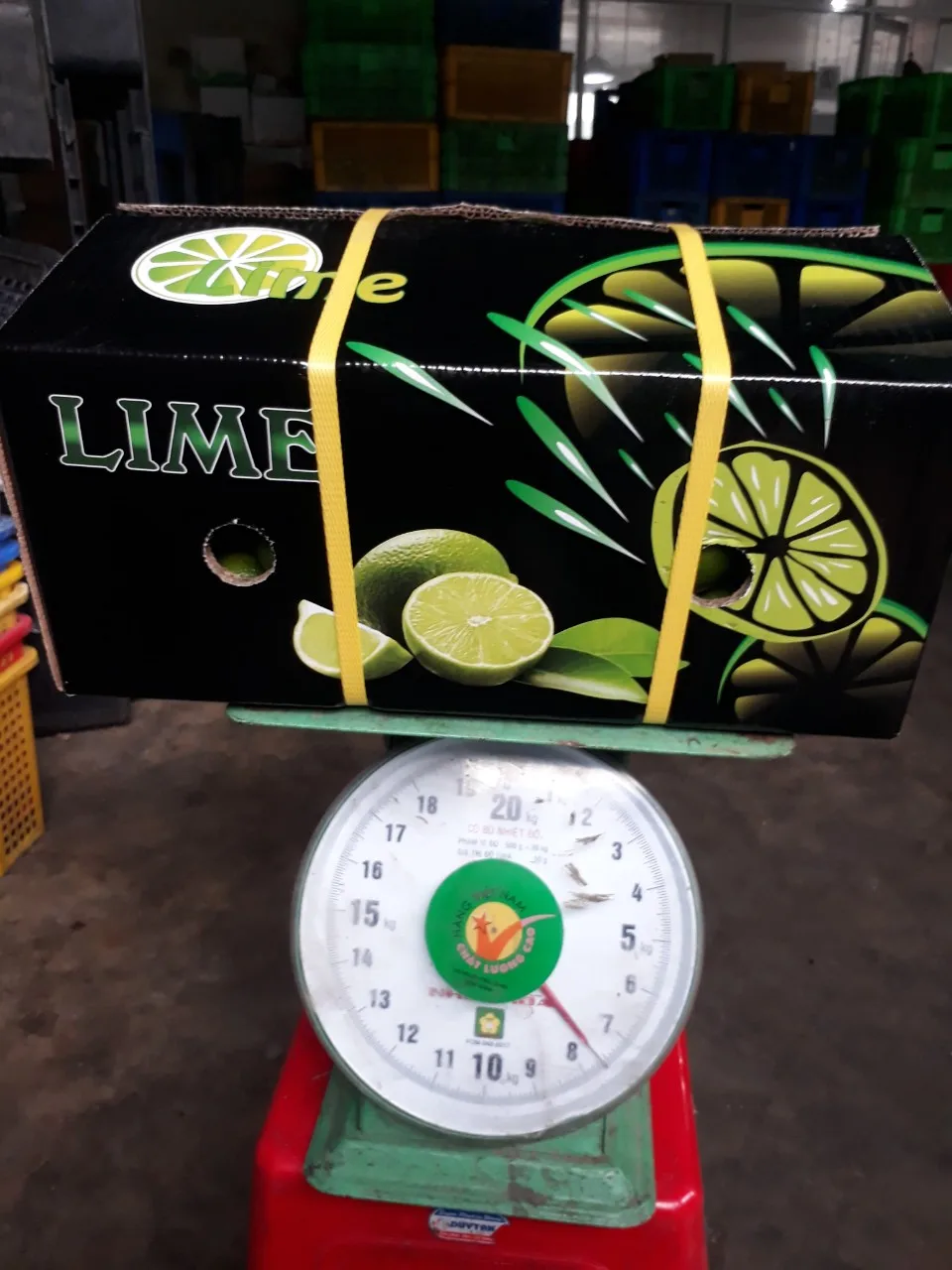 Fresh Lime Seedless Phytosanitary Certificate With Green Lemon Fresh ...