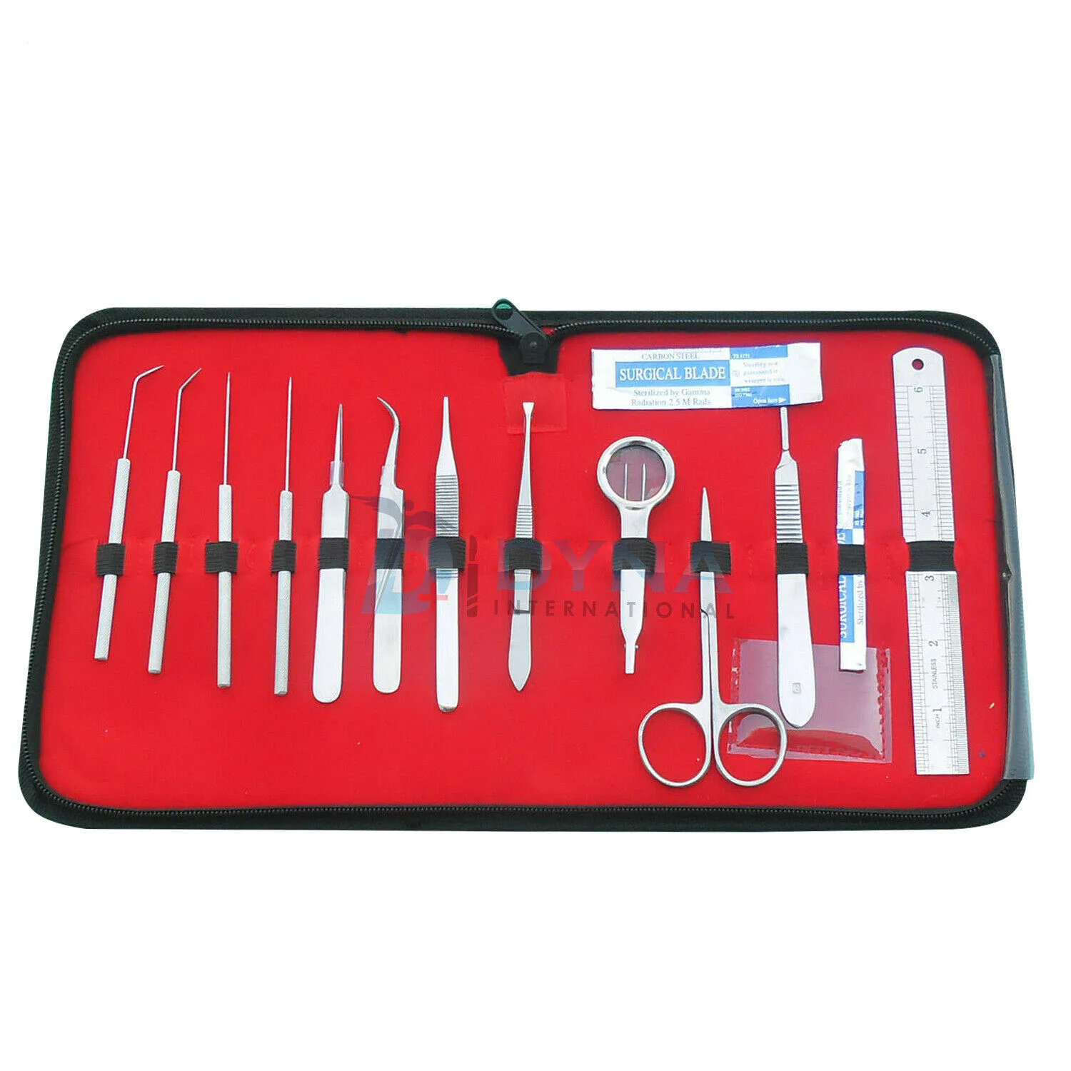 Entomology Dissection Kit Surgical Instruments Made With Stainless ...