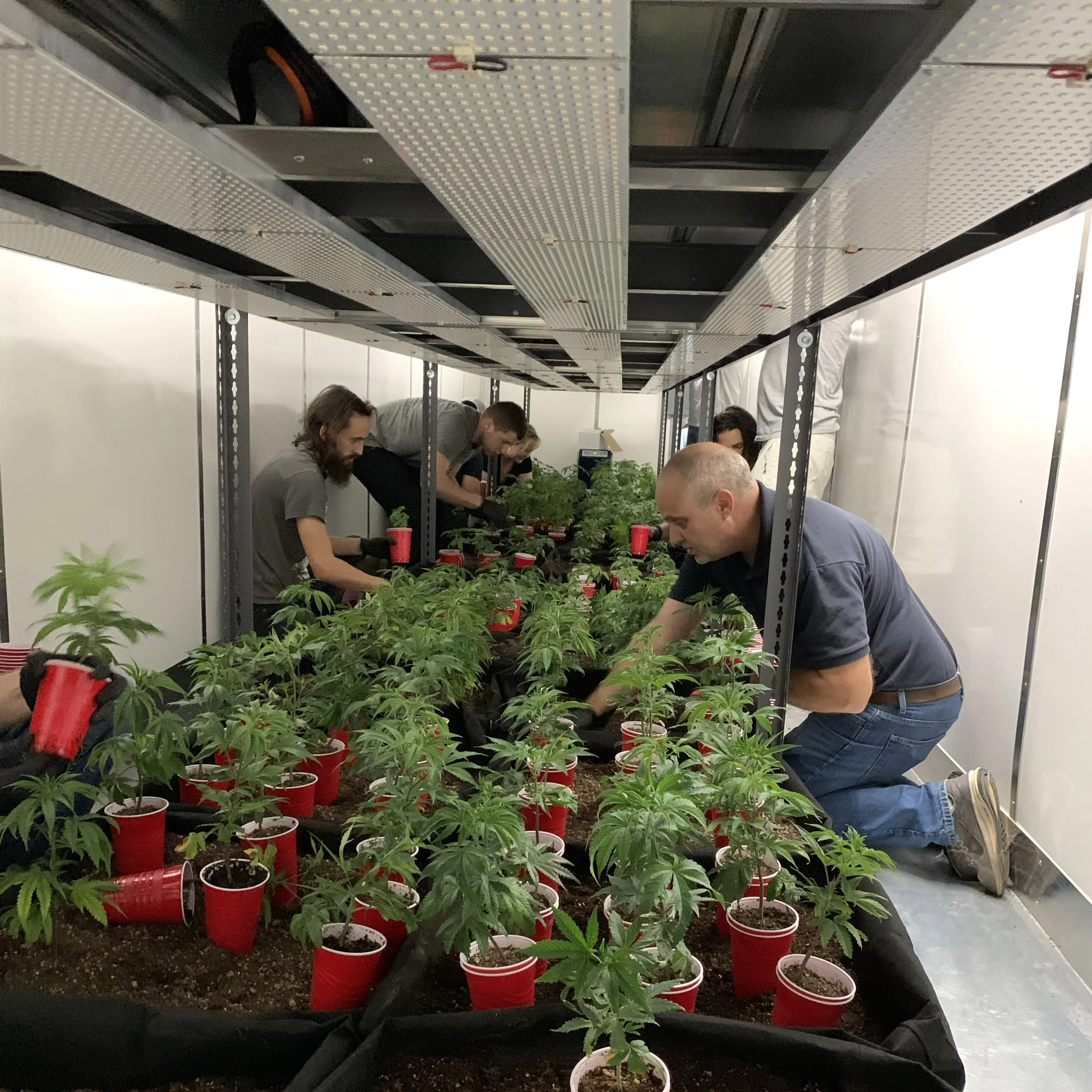 Outdoor/indoor Hydroponic Growing Systems Container - Buy Hydroponic ...