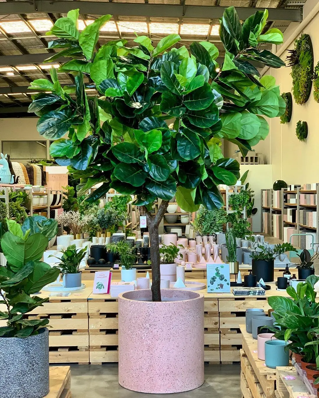 Terrazzo Pots Planter - Decorative Pink Indoor & Outdoor Flower Pots in ...