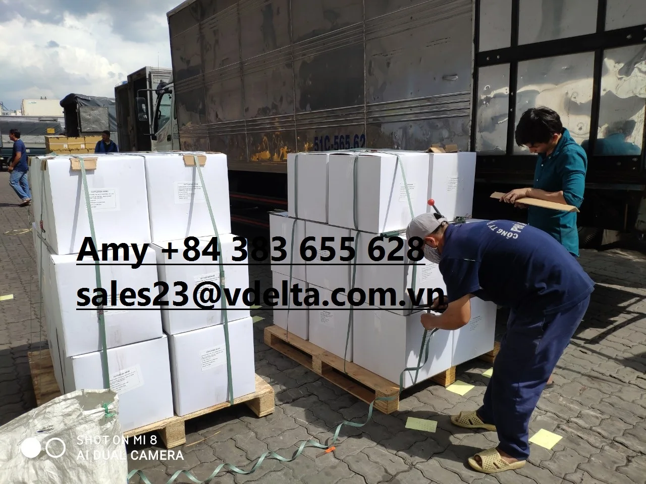 Crushed Cuttlefish Bone/ Sepia Bone Powder/ Cuttle Bone For Sales Lily ...