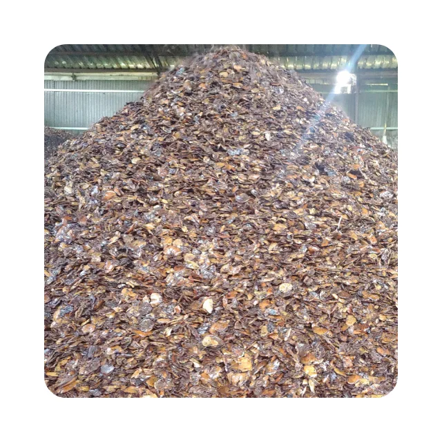 Cashew Nut Shell