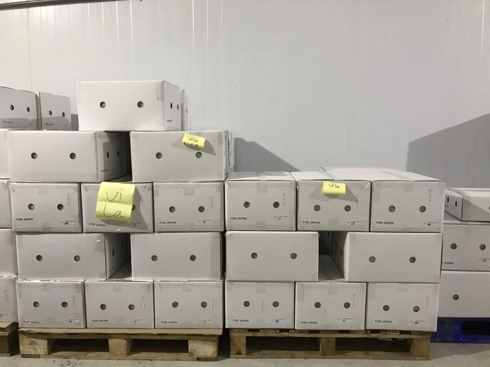 Fresh Pineapple From Vietnam For Export With Competitive Price And ...