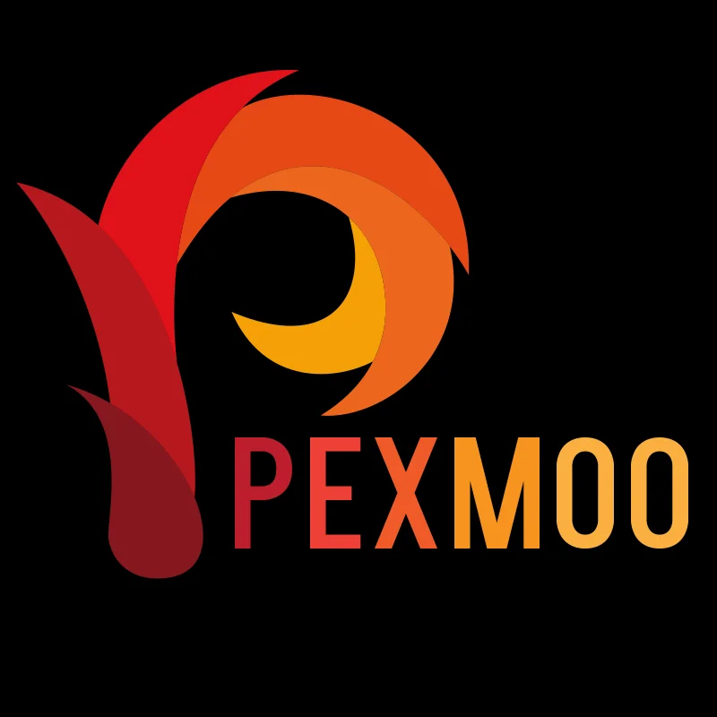 Company Overview - SAZ ENTERPRISES