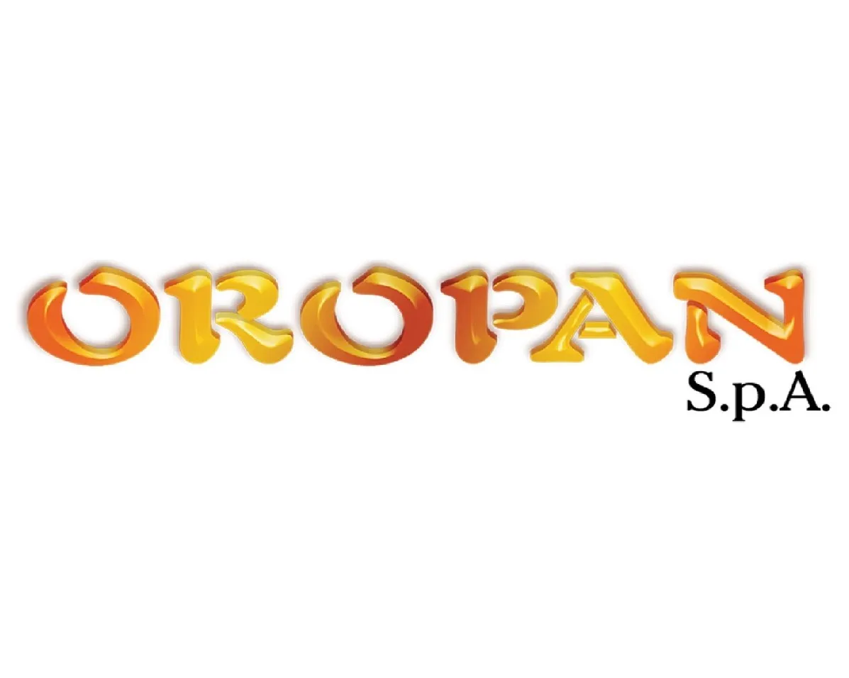 Company Overview - OROPAN S.P.A.