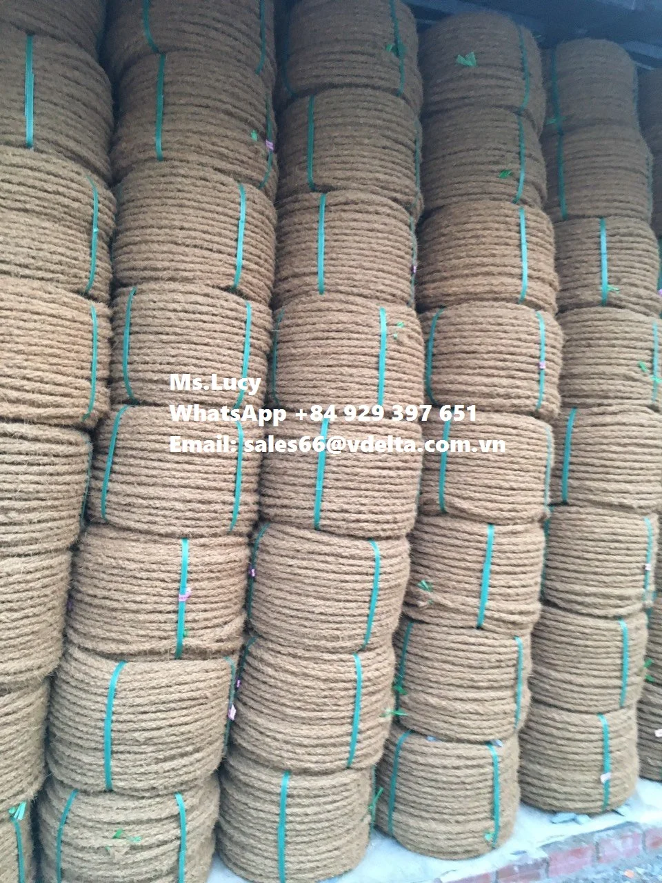 High Quality Coconut Coir Rope from Vietnam - Eco-friendly