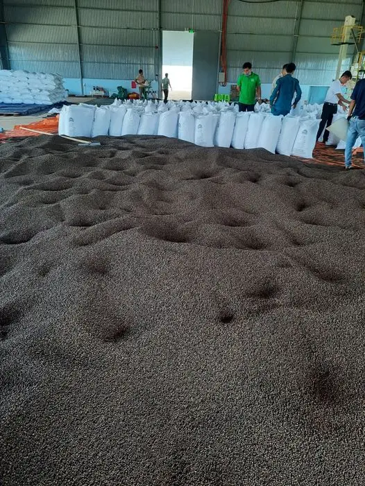 Vietnam Factory Natural Black Pepper All Of Types Low Price Whole Black ...