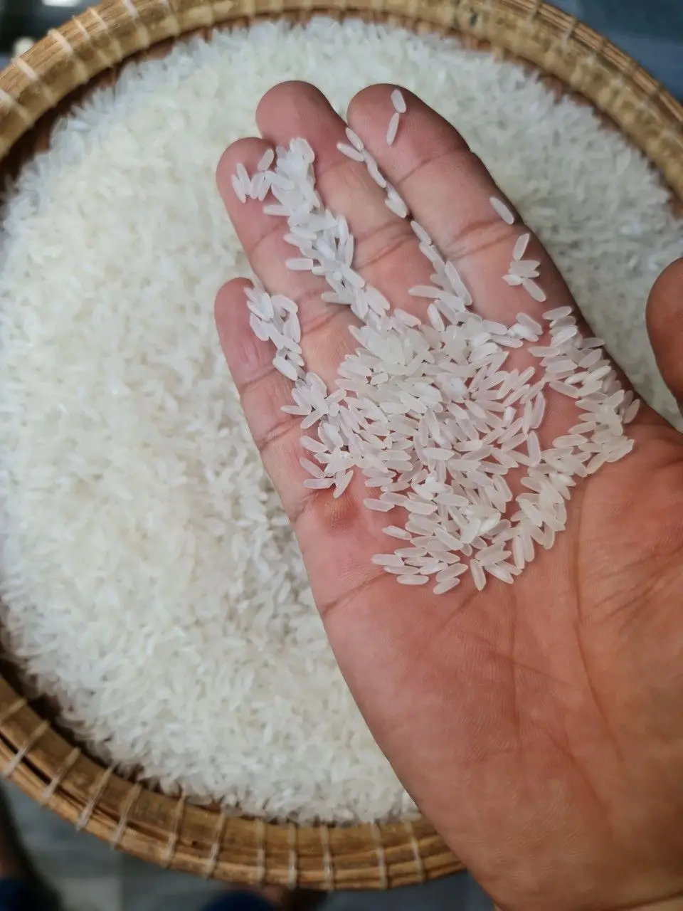 Vietnam Jasmine Rice Africa (Ms. Quincy +84 858080598)| Alibaba.com