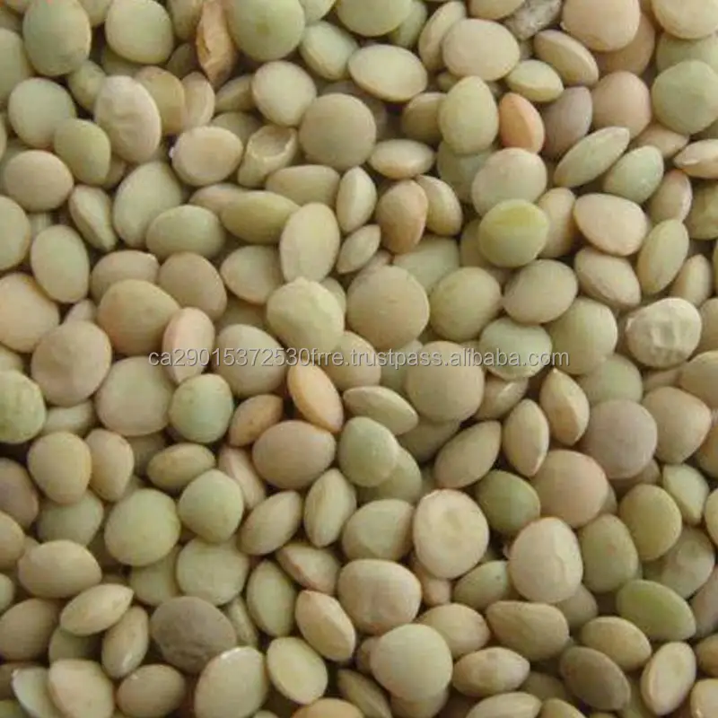 Wholesale Green Lentils Bulk Packaging 25/50 Kg Pp Bag With 12 Months ...