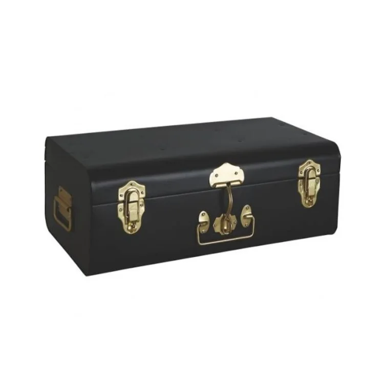 Modern Design Galvanized Storage Trunk - Trunk Color Design