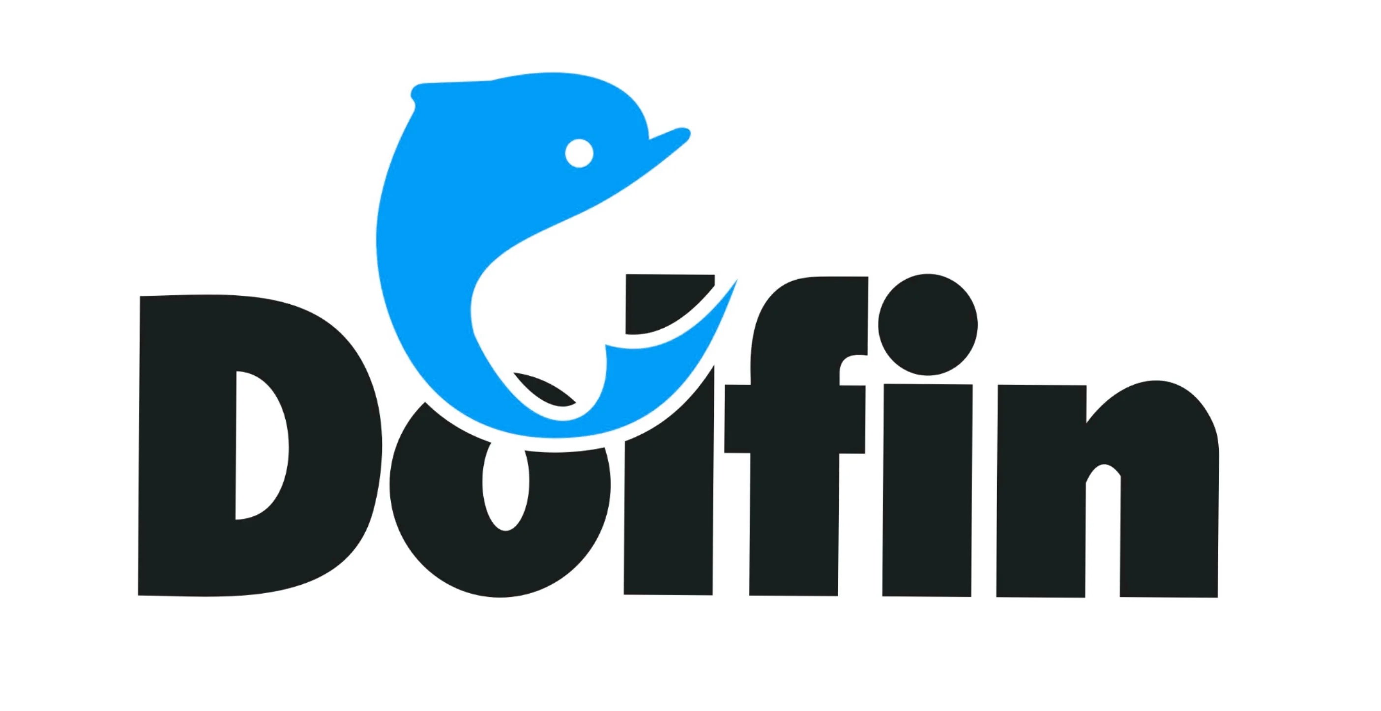 Company Overview - DOLFIN RUBBERS LIMITED