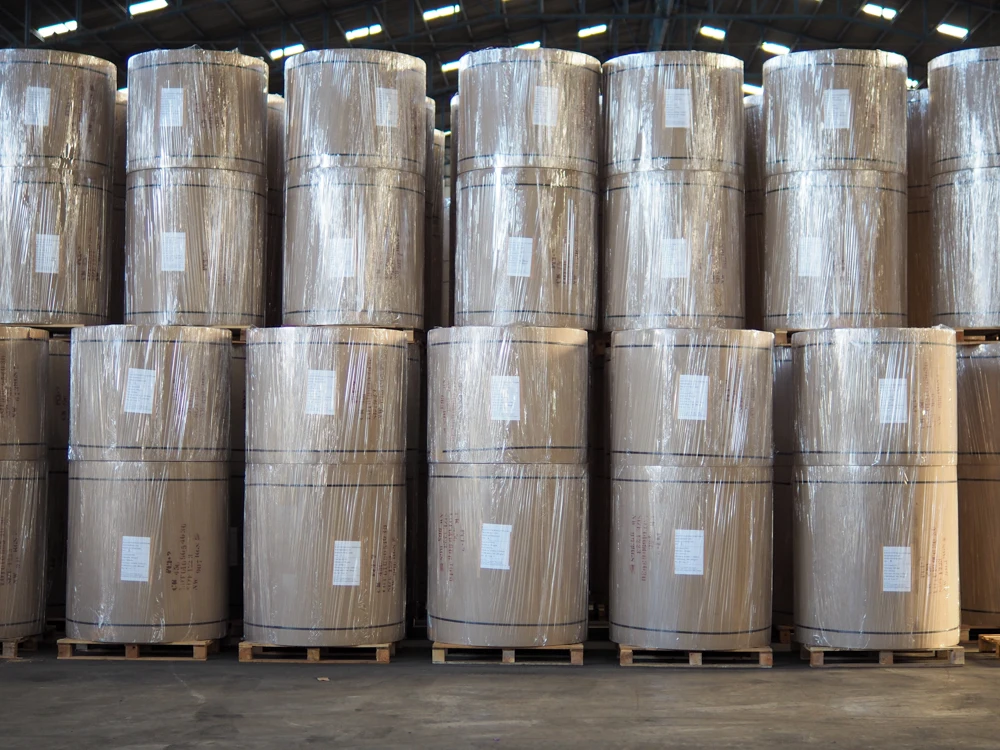 Thai Paper Supplier Core Board Cb Jumbo Roll (300 Plybond) For Making ...