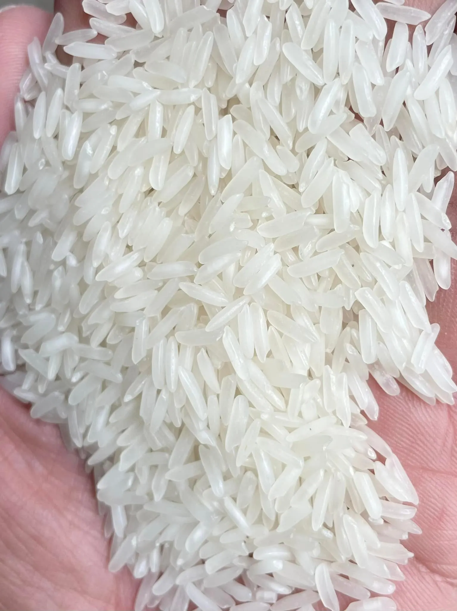 Jasmine Rice - Premium Long Grain White Rice for Sale