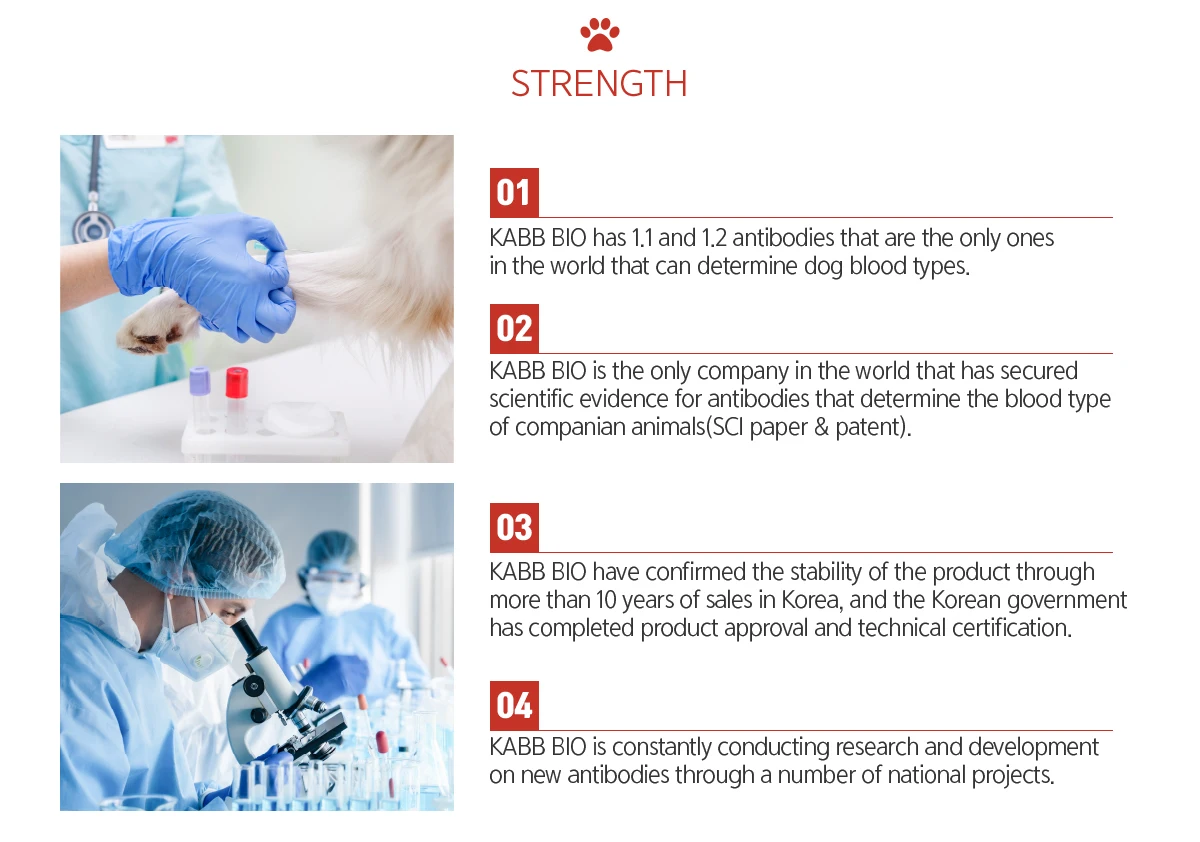 Diagnosis Of Dog Blood Type Kit - Buy Dog Blood Typing Test Kit Box ...