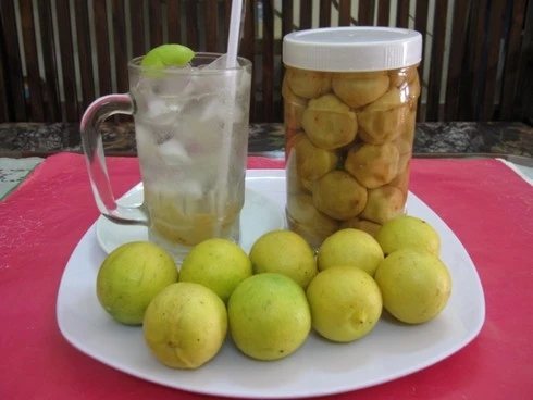 Salted Lemon/pickled Lemon in Jar - Cheapest Price from Vietnam