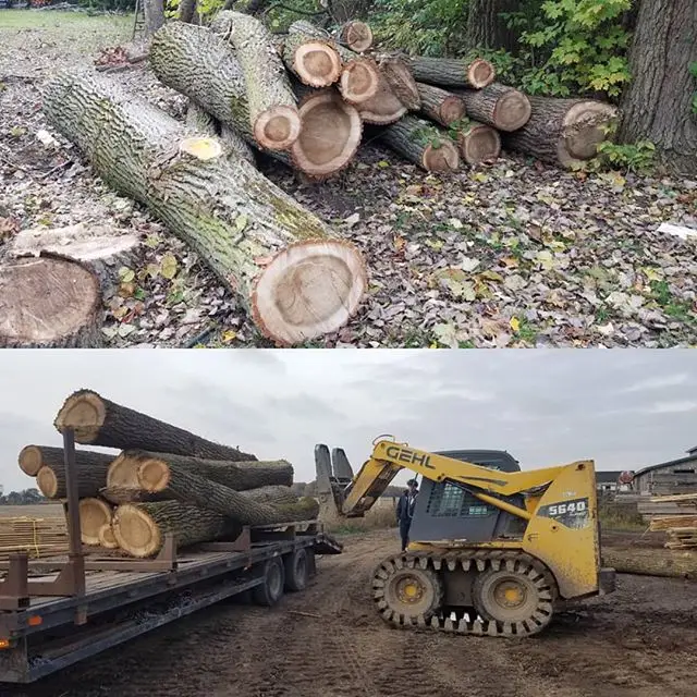 Popular Paulownia Poplar Pine Wood Planks Wood Boards For Sale - Buy ...