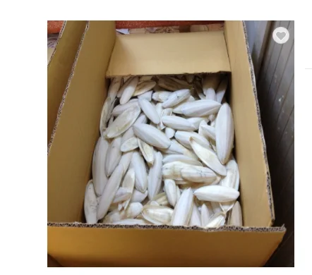 Dried Cuttlefish Bone/ Animal Feed/ Jonathan +84766909341 - Buy ...