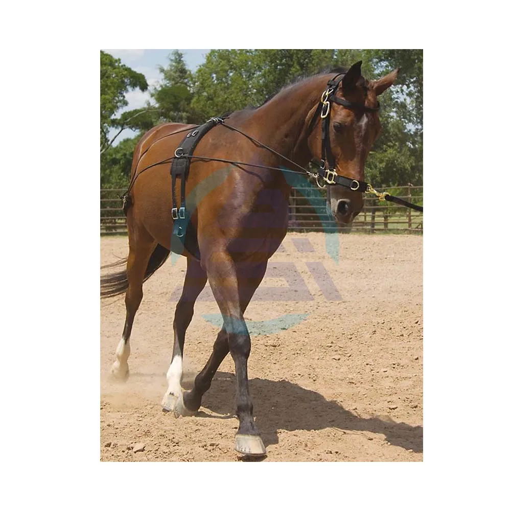 Customizable Balance Training System Direct From Manufacturer - Buy ...